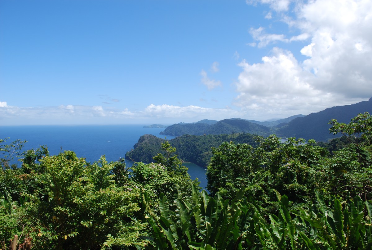 My History with History – Marcia Headley